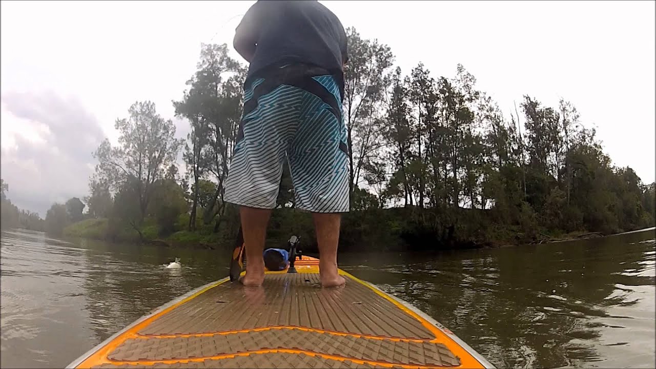 SUP Bass fishing Upper Albert River - YouTube