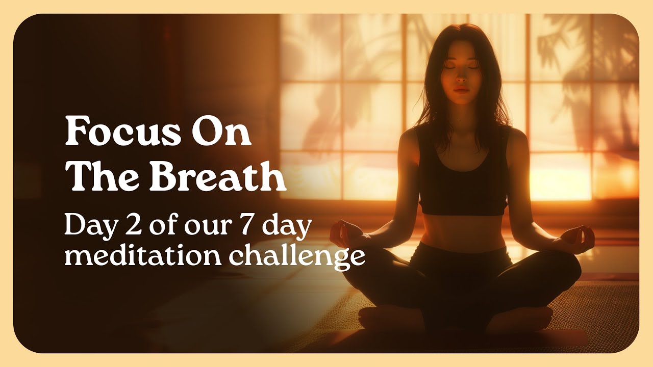 Focus on the Breath - 10 Minute Guided Meditation (Day 2 of 7 Day ...