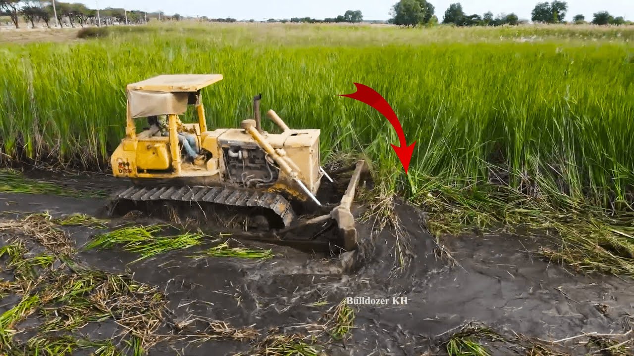 Best Action Good Video Power Bulldozer Pushing Forest in The Rice Field ...
