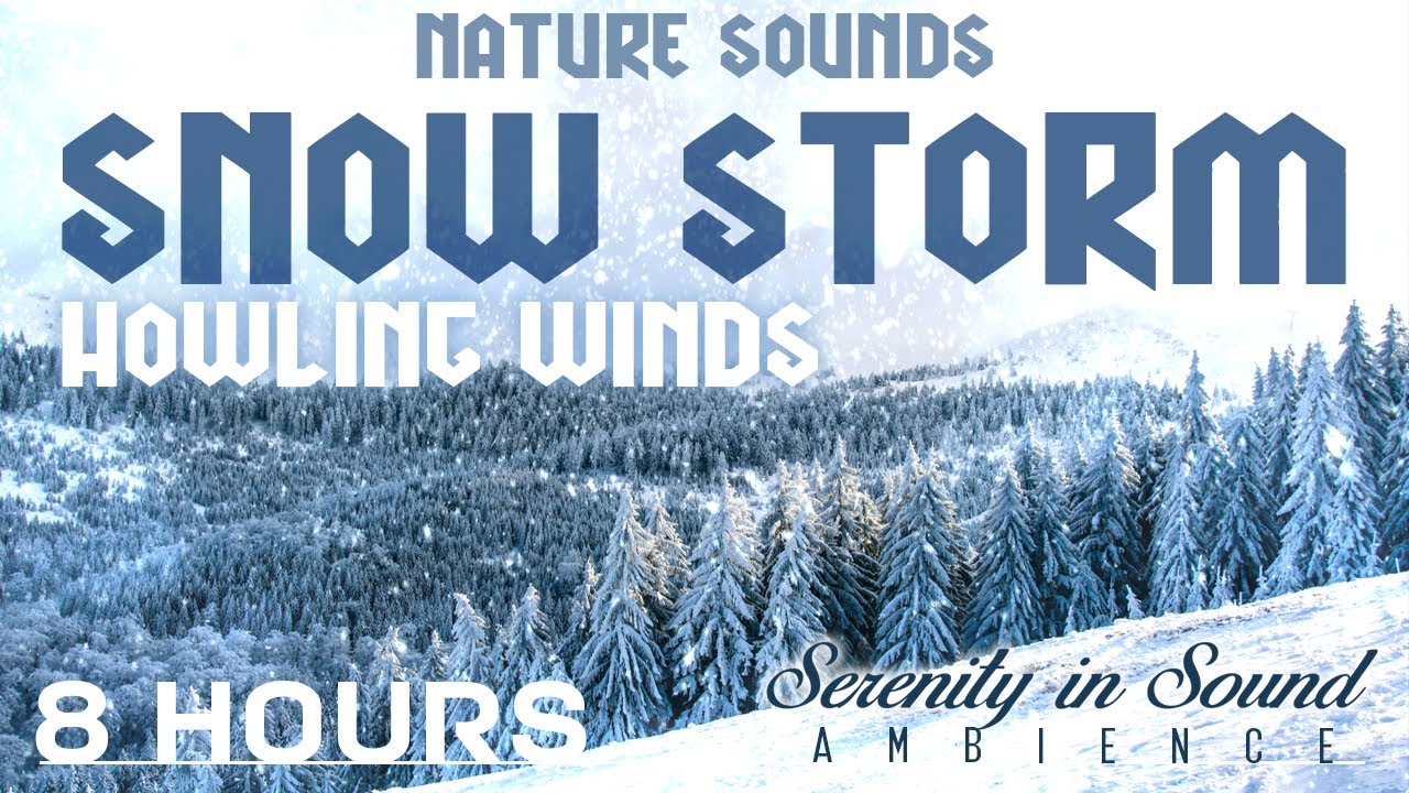 Nature Sounds: Winter Storm and Winds | Relaxation, Study, and Sleep ...