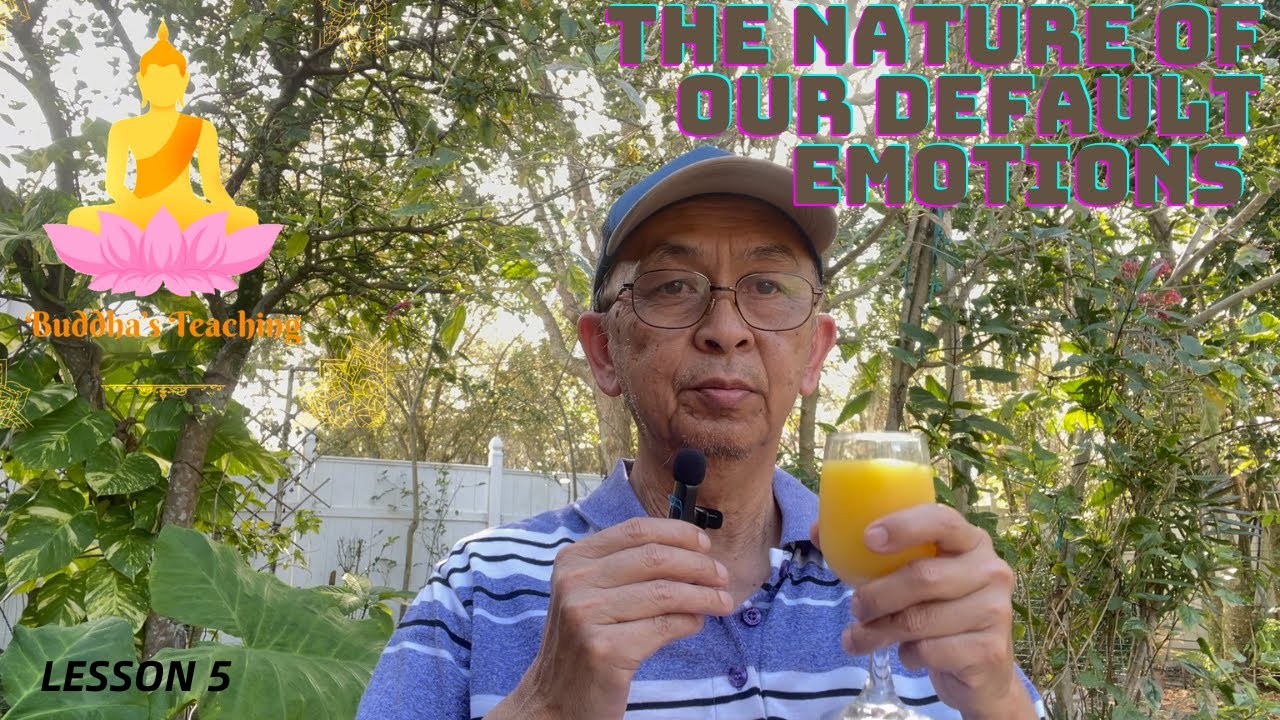 L5 - THE NATURE OF OUR DEFAULT EMOTIONS - YouTube