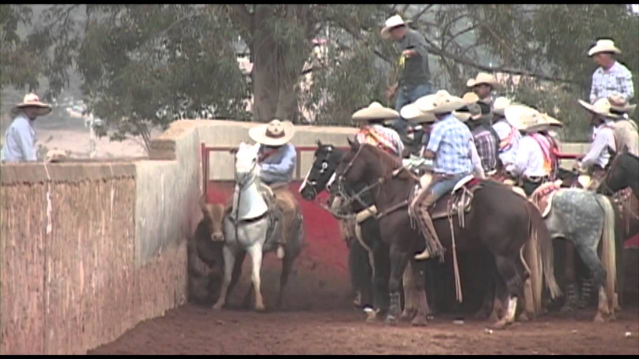 45 - Lo Mejor de los Coleaderos - Monte Escobedo, Zacatecas - YouTube