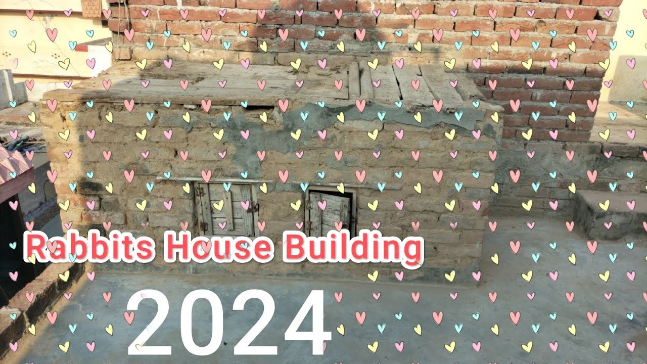 Building Rabbits House (SS Rabbits) - YouTube