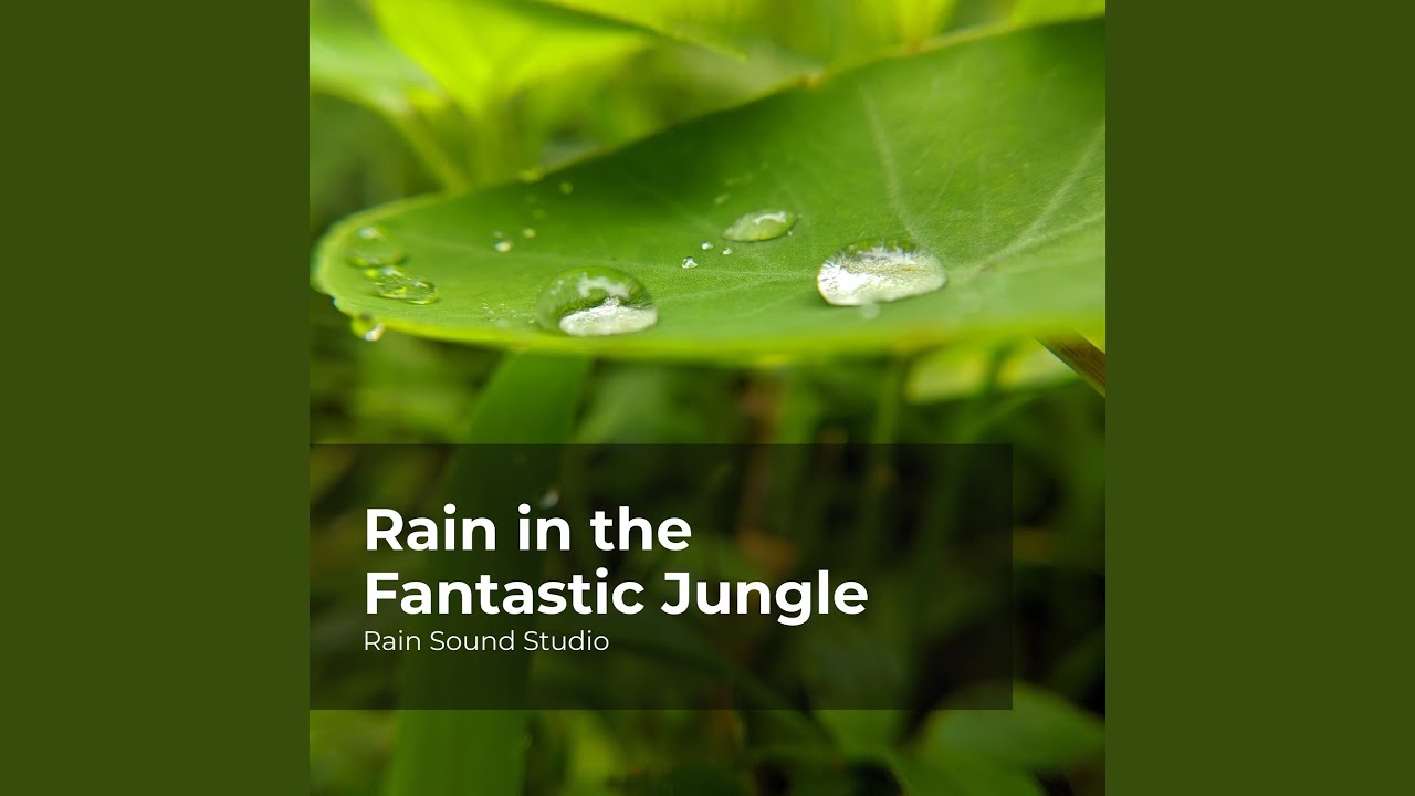 Rain Cheers You Up - YouTube