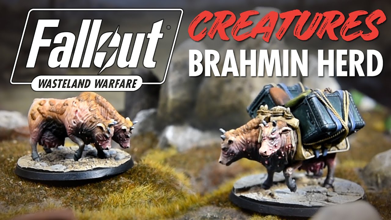 Brahmin Fallout