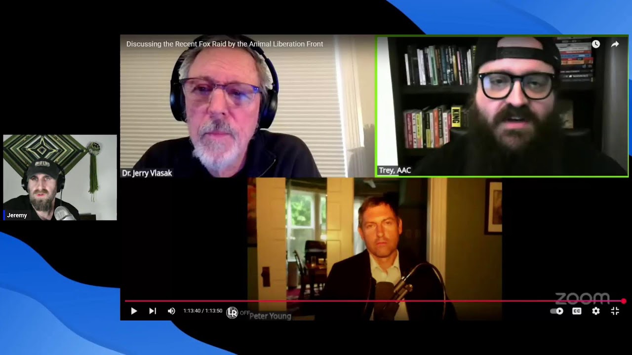 Live Hangout: Animal Activism Collective Chat About ALF Fox Raid - YouTube