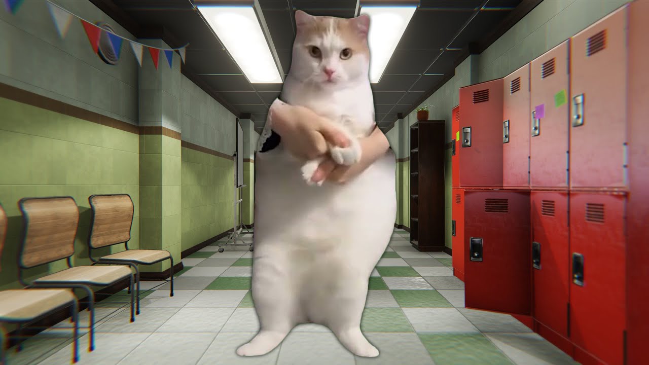 Cat Dancing To EDM In YOUR School 4K - YouTube