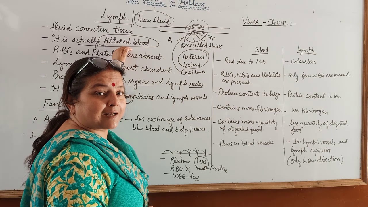 Lymph (Fluid Connective Tissue). Class 9. By Varuna Sharma - YouTube