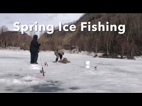 Spring Ice fishing ตกเบ็ดไต้น้ำแข็งช่วงฤดูใบไม้ผลิต - YouTube