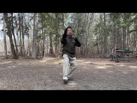 Traditional Yang Style Tai Chi Chuan Form 1st Section - YouTube