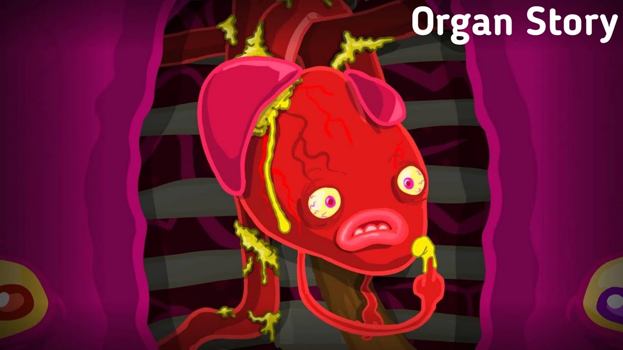 Organ Story - YouTube