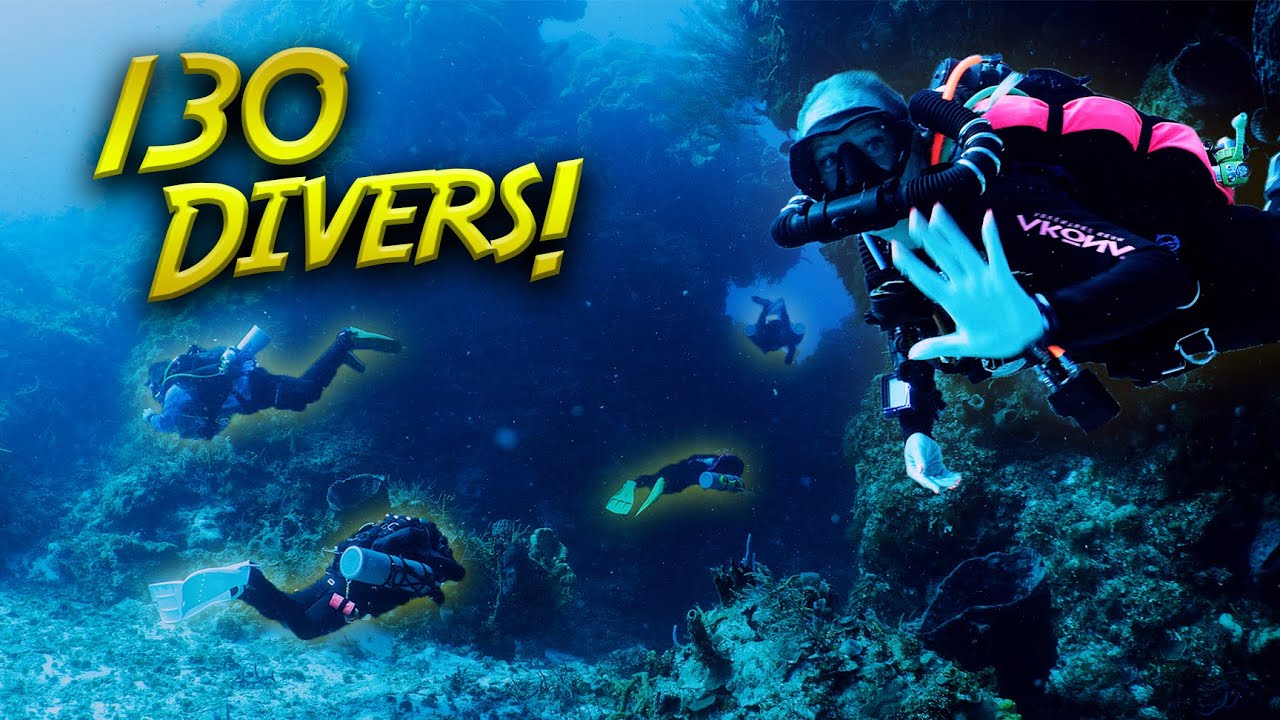 DIVE TALK - 2023 Cozumel Meet-up! | Blue World Extra - YouTube