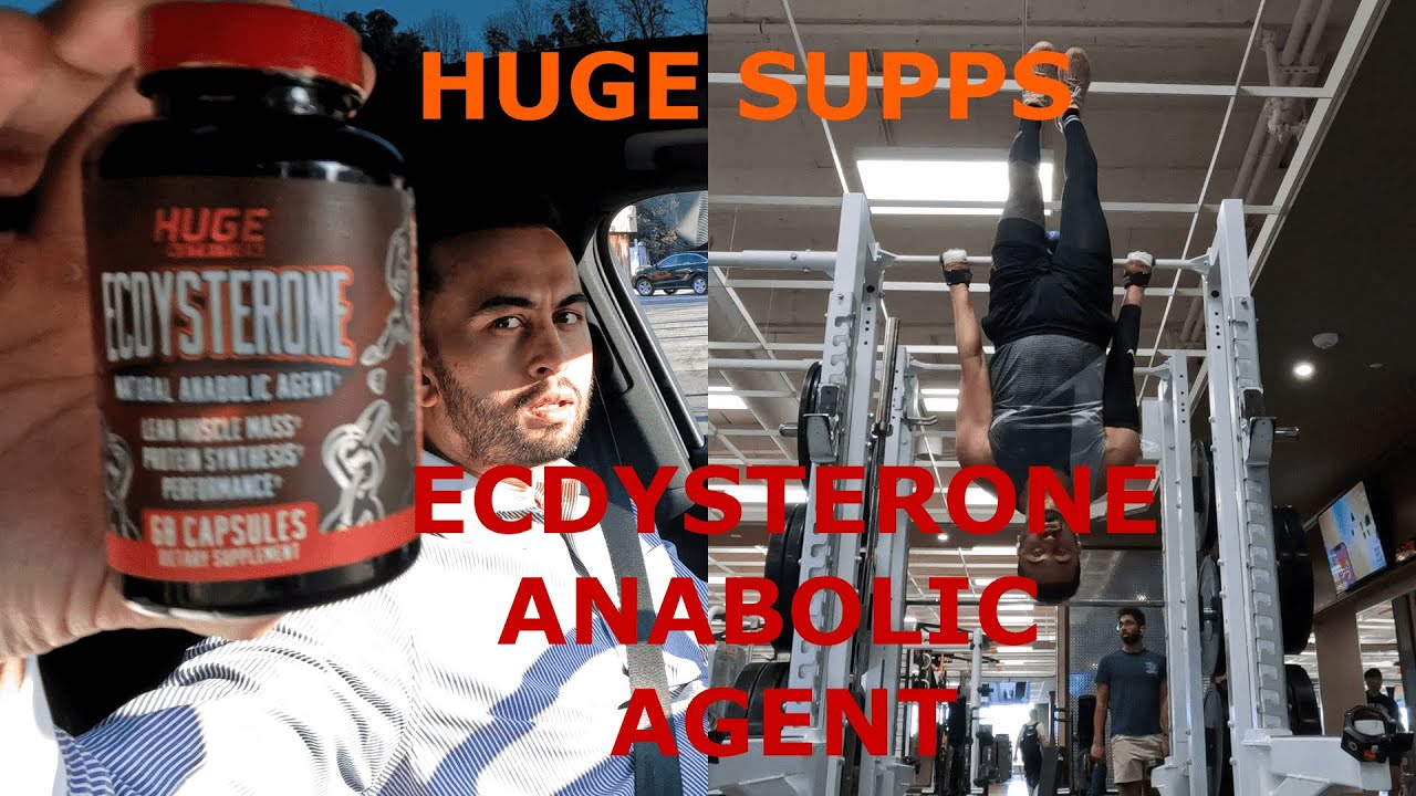 THE BEST NATURAL ANABOLIC SUPPLEMENT?!?! 💪 Ecdysterone | HUGE ...