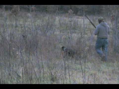 Hunting With Rusty 12-13-08 #2 - YouTube