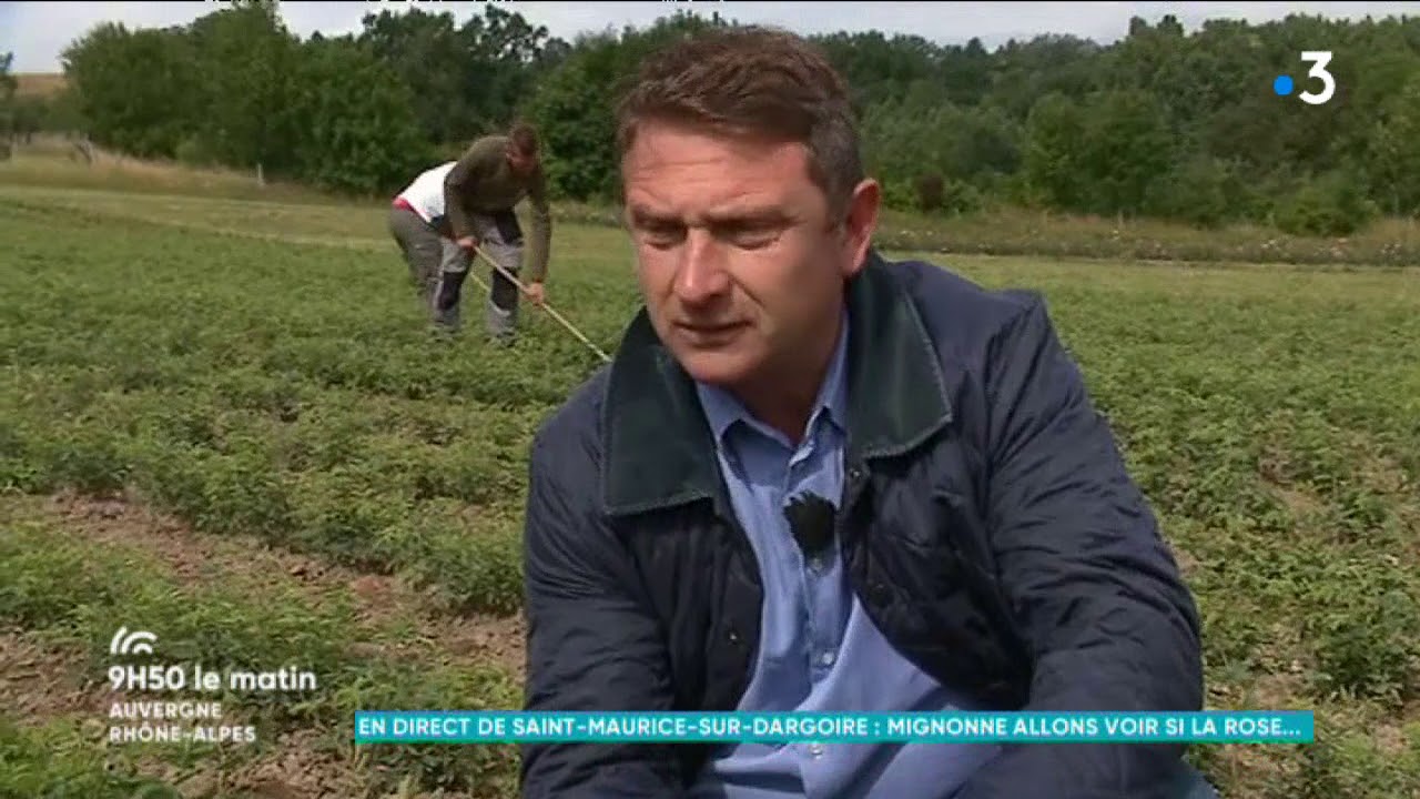 Découverte : la greffe de roses... - YouTube