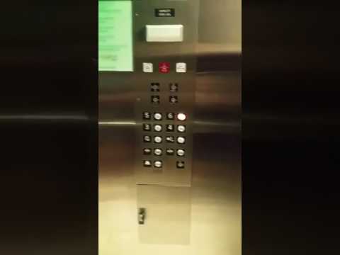 (GAL buttons) Elevators at the Holiday Inn in Oceanside, CA - YouTube