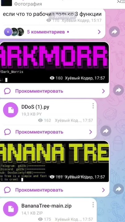 Лучший телеграмм канал для термукс #termux #python #soft #coding #programming #catlover # ...