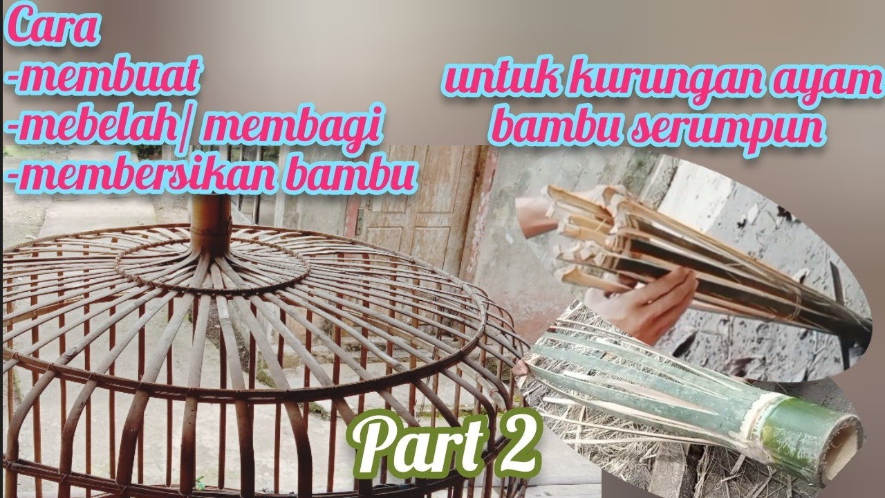 Cara yang pas membela/membagi bambu untuk kurungan ayam bambu serumpun ...