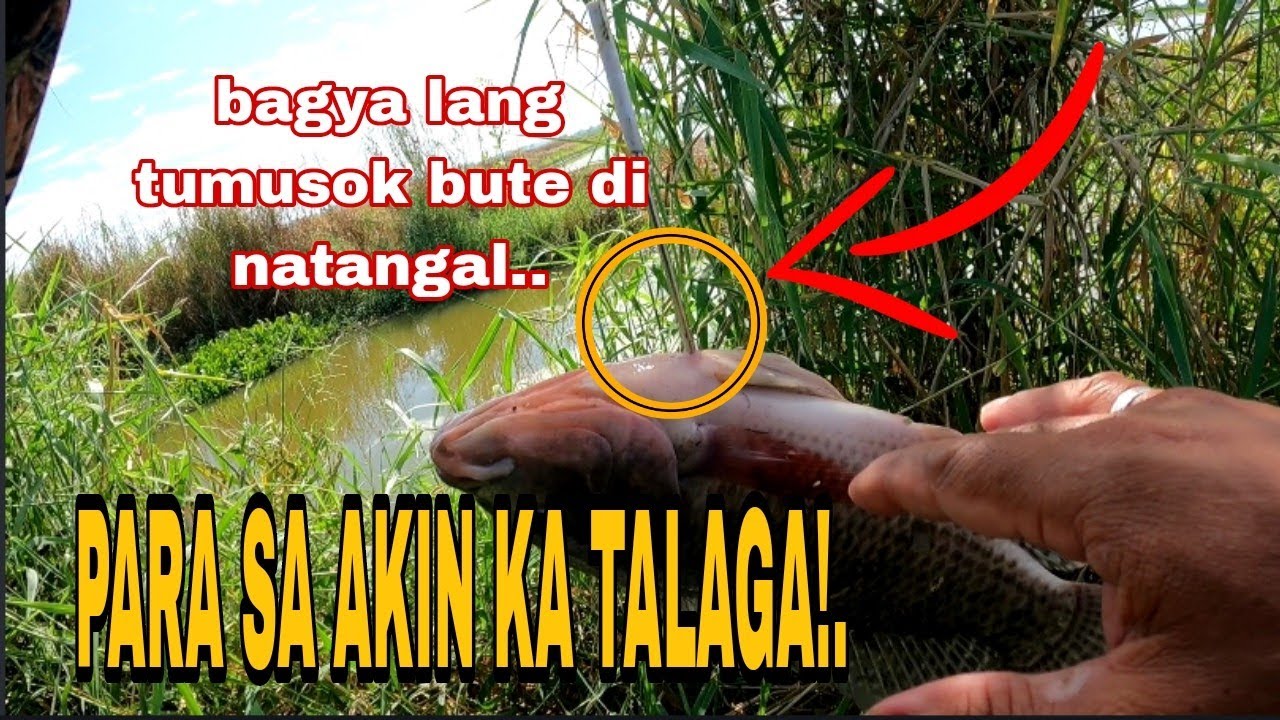 SWERTE AGAD PAUPO UPO LANG AKO SUMUSULPOT LANG ANG ISDA /Airgun Fishing ...