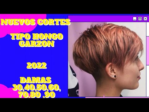 CORTES DE CABELLO CORTO / HONGO,GARZON ELEGANTES ,SEÑORAS 30,40,50,60 ...