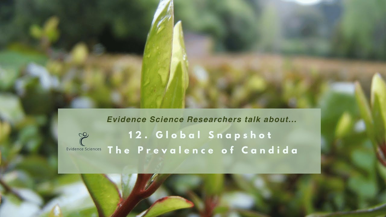 Horopito webinar edit 12. Prevalence of Candida Globally. - YouTube