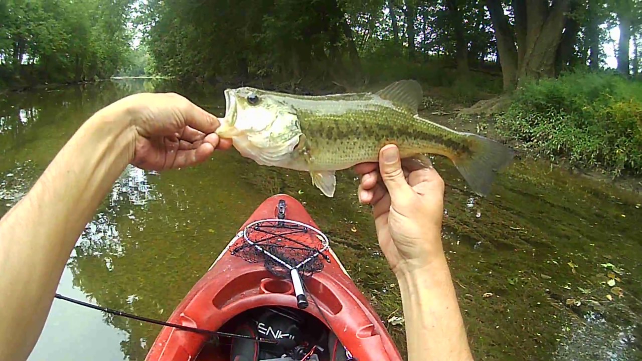 Kayak Fishing on a small River in Ohio, 23 Bass Caught, 17 Smallmouth ...