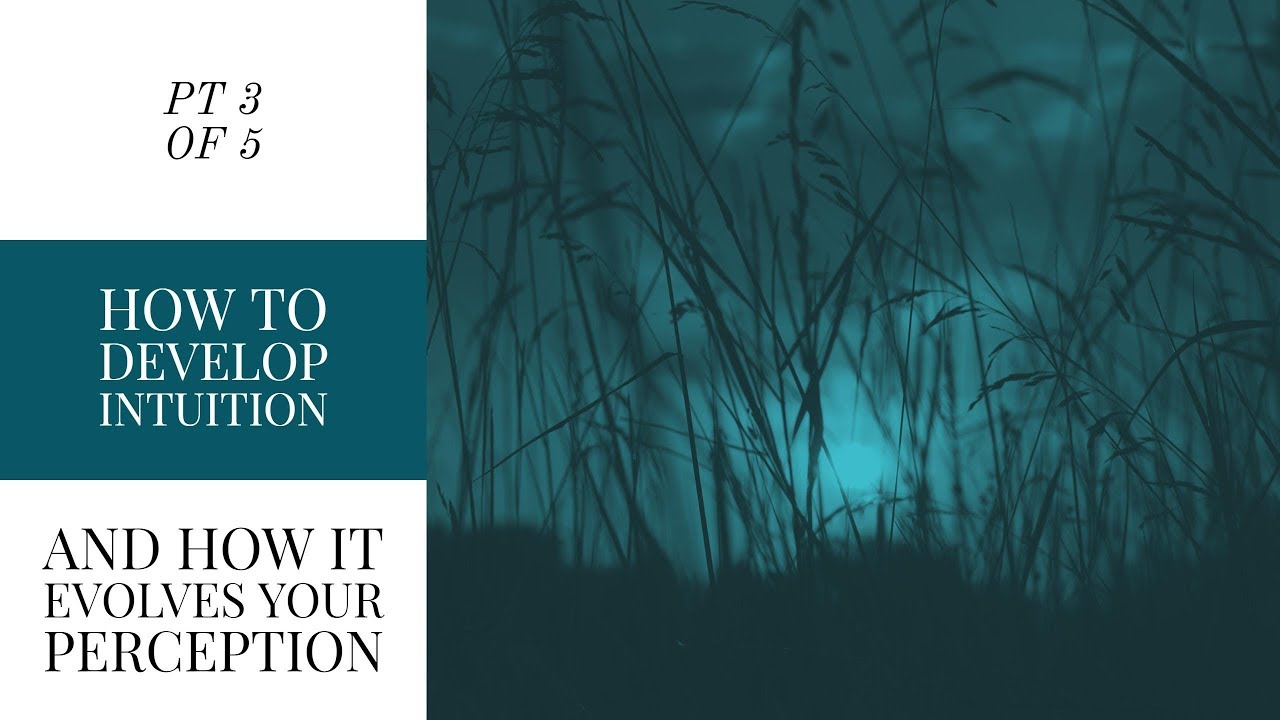 HOW TO DEVELOP INTUITION AND HOW IT EVOLVES YOUR PERCEPTION | Part 3 of ...