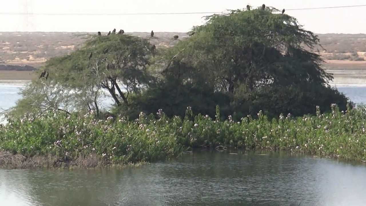 Abheda Mahal, Kota - YouTube