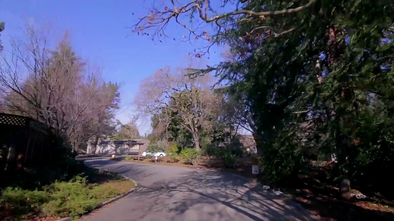 Tranquil Retreat in Toyon Farm, Los Altos - YouTube