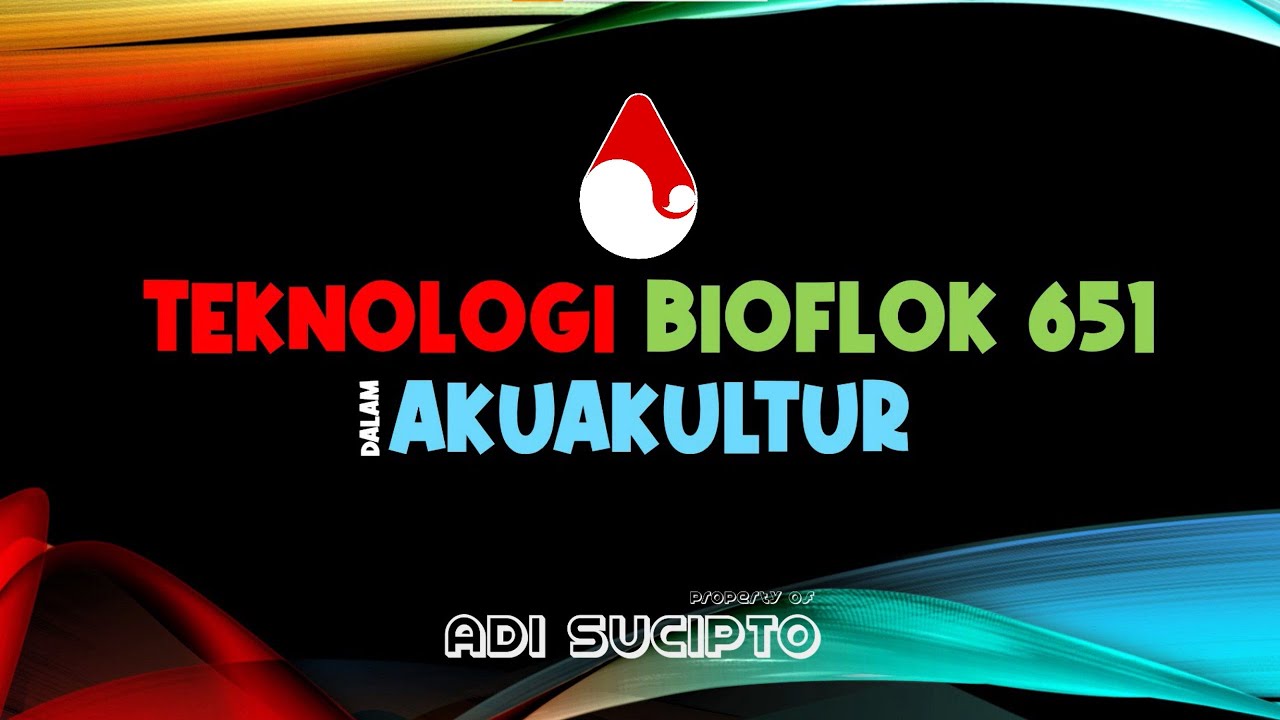 Mengenal teknologi bioflok 651 dalam budidaya ikan - YouTube