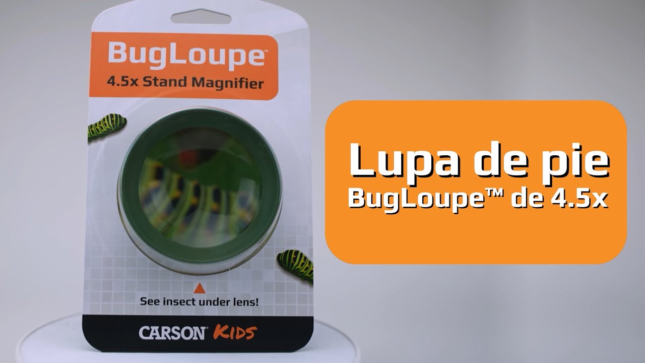 Mejor Lupa para Insectos para Niños | Lupa Carson Kids Bug Loupe con ...