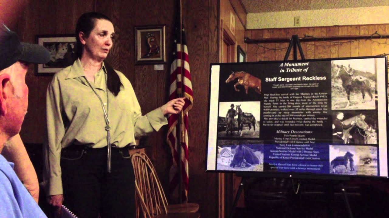 Sgt Reckless by Robin Hutton Part IV - YouTube