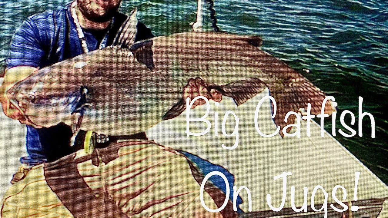Jug Fishing for Big Catfish! Catch and Cook [[Skiff Update]] Pickle ...