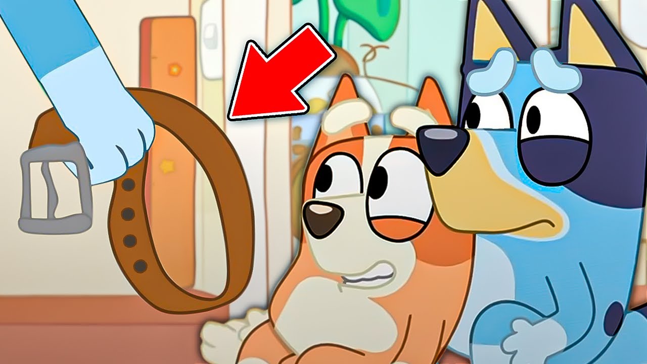 10 Regras Estritas Que Bluey E Bingo Tem Que Seguir Youtube
