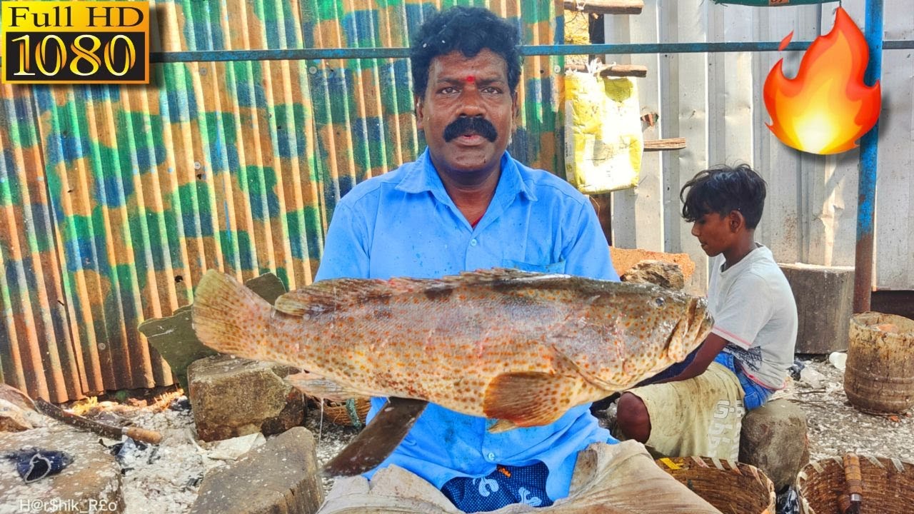 KASIMEDU 🔥FISH CUTTING | DOTTED GROUPER FISH CUTTING🐟 | FISH CUTTING ...