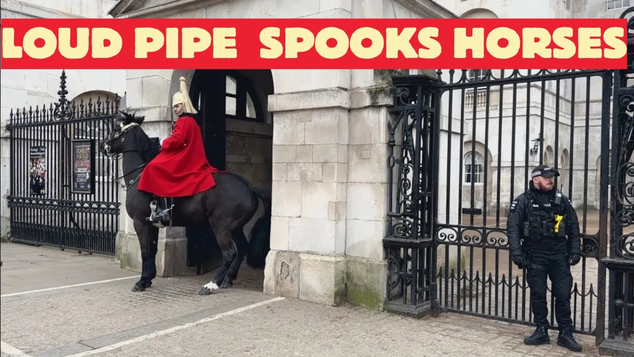 See How Loud Pipe Sound Spooks Horses - YouTube