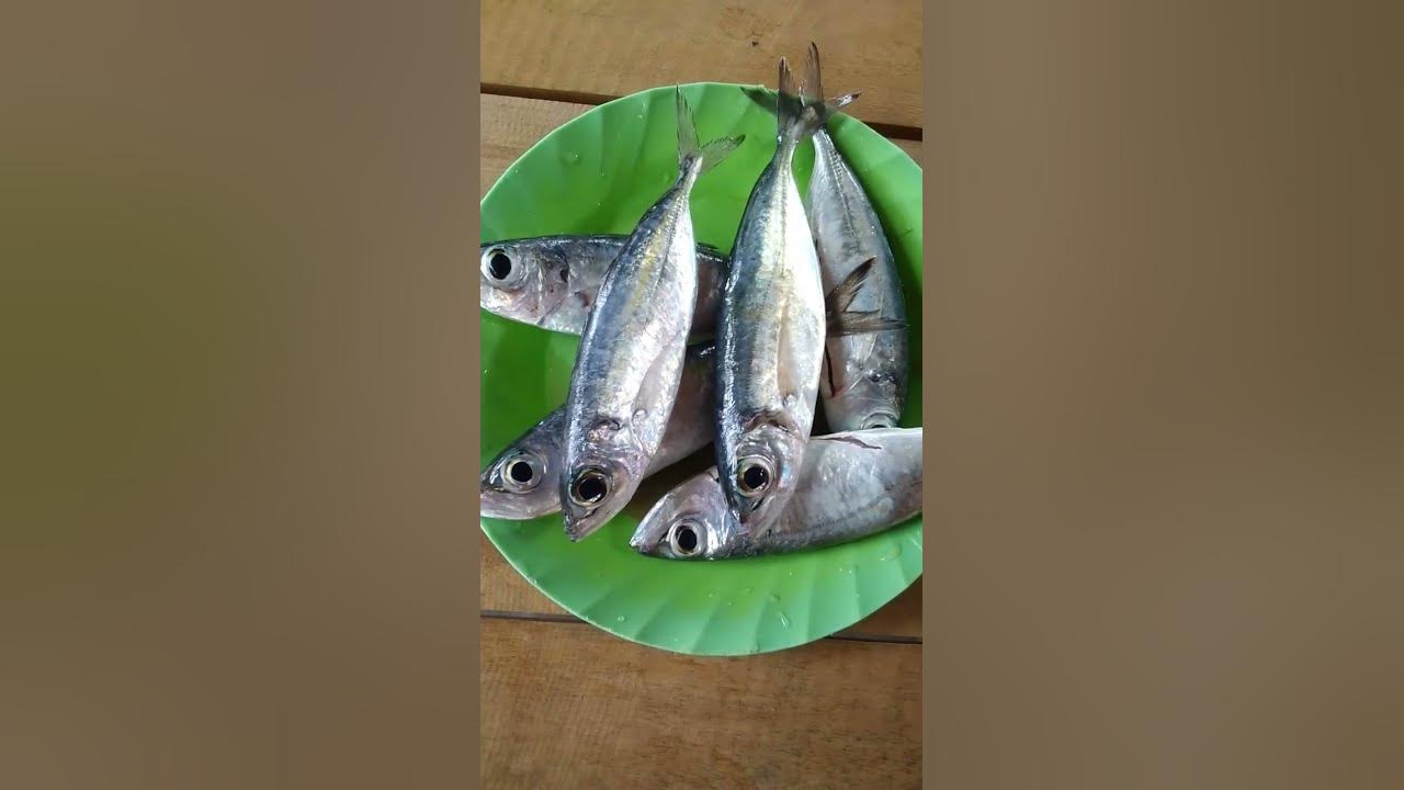 SARIWANG ISDA#BAGONG HULI#BUHAY PROBINSYA - YouTube