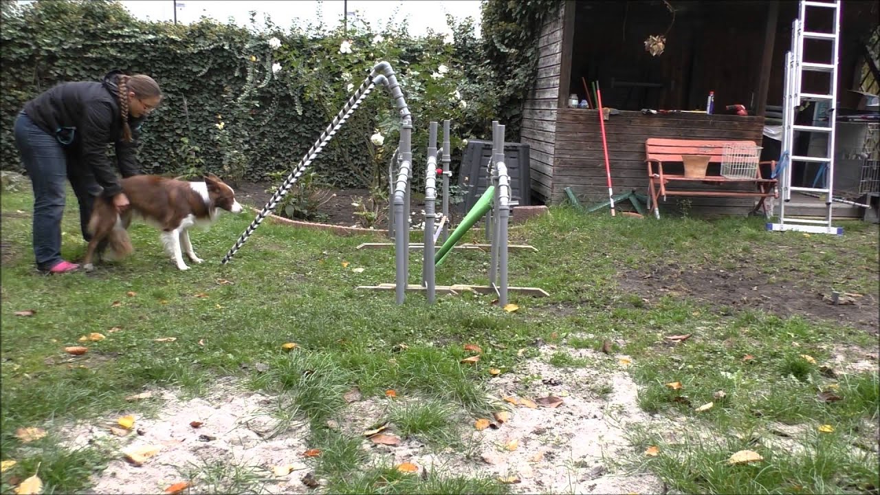 27 10 Spider jump training - YouTube