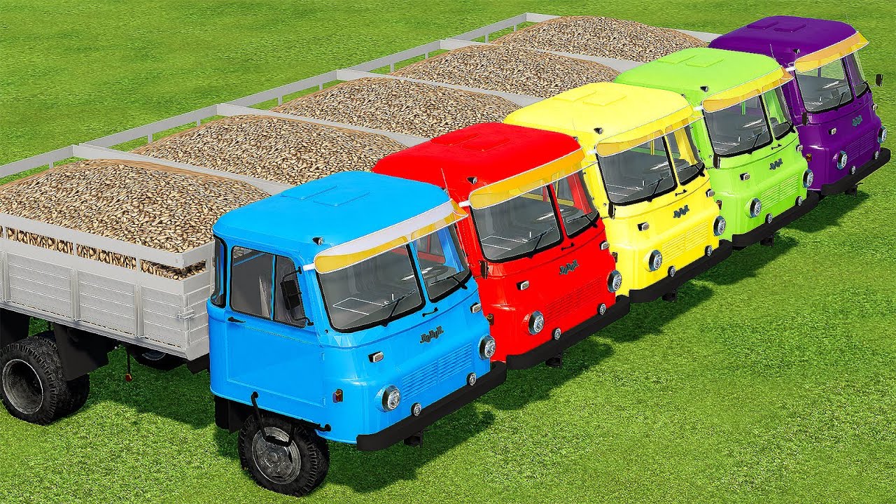 LOADING & TRANSPORTING SUGAR BEET WITH ROBUR MINI TRUCKS & MAN TRUCKS ...