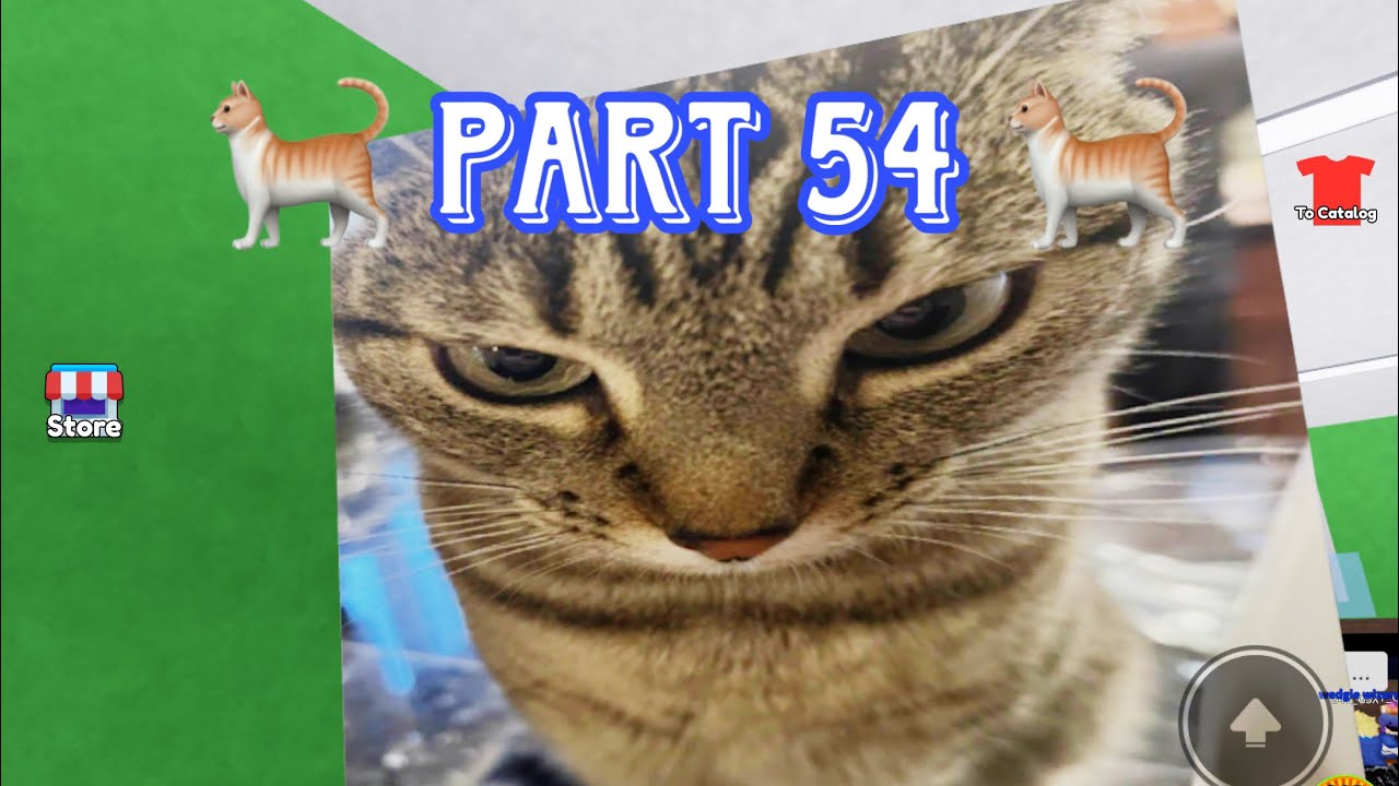 Angry Cat (Roblox SP RP Game 54) - YouTube