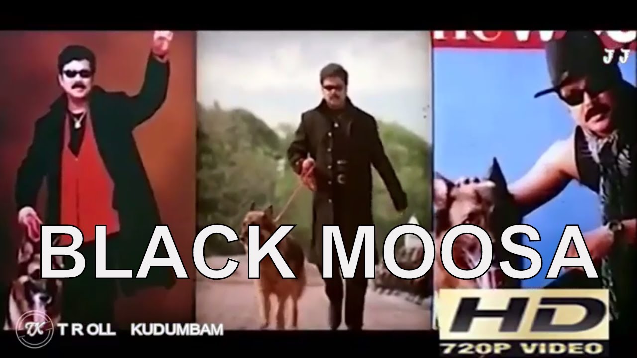 BLACK MOOSA - Black Panther | CID MOOSA | Comedy Mix - YouTube