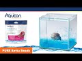 Betta Beads | Aqueon