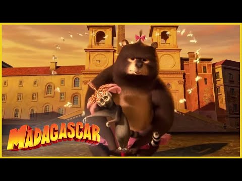DreamWorks Madagascar en Español Latino | Historia de Amor | Circo Afro- Madagascar 3: Los Fugitivos