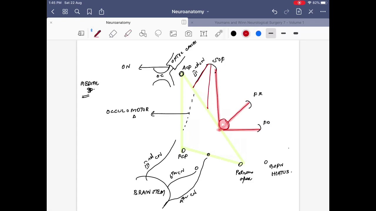 Triangles of cavernous sinus - YouTube