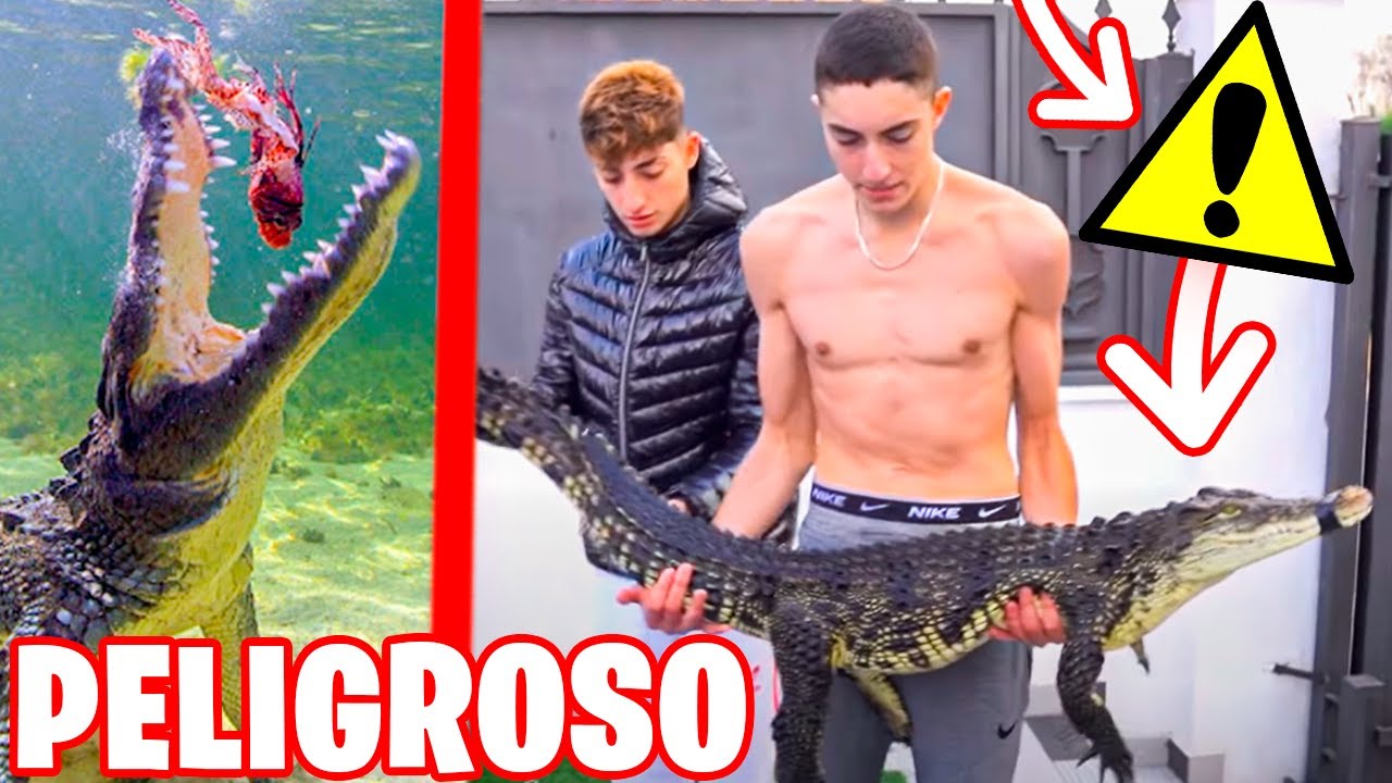 EL COCODRILO DE YOSOYPLEX - YouTube