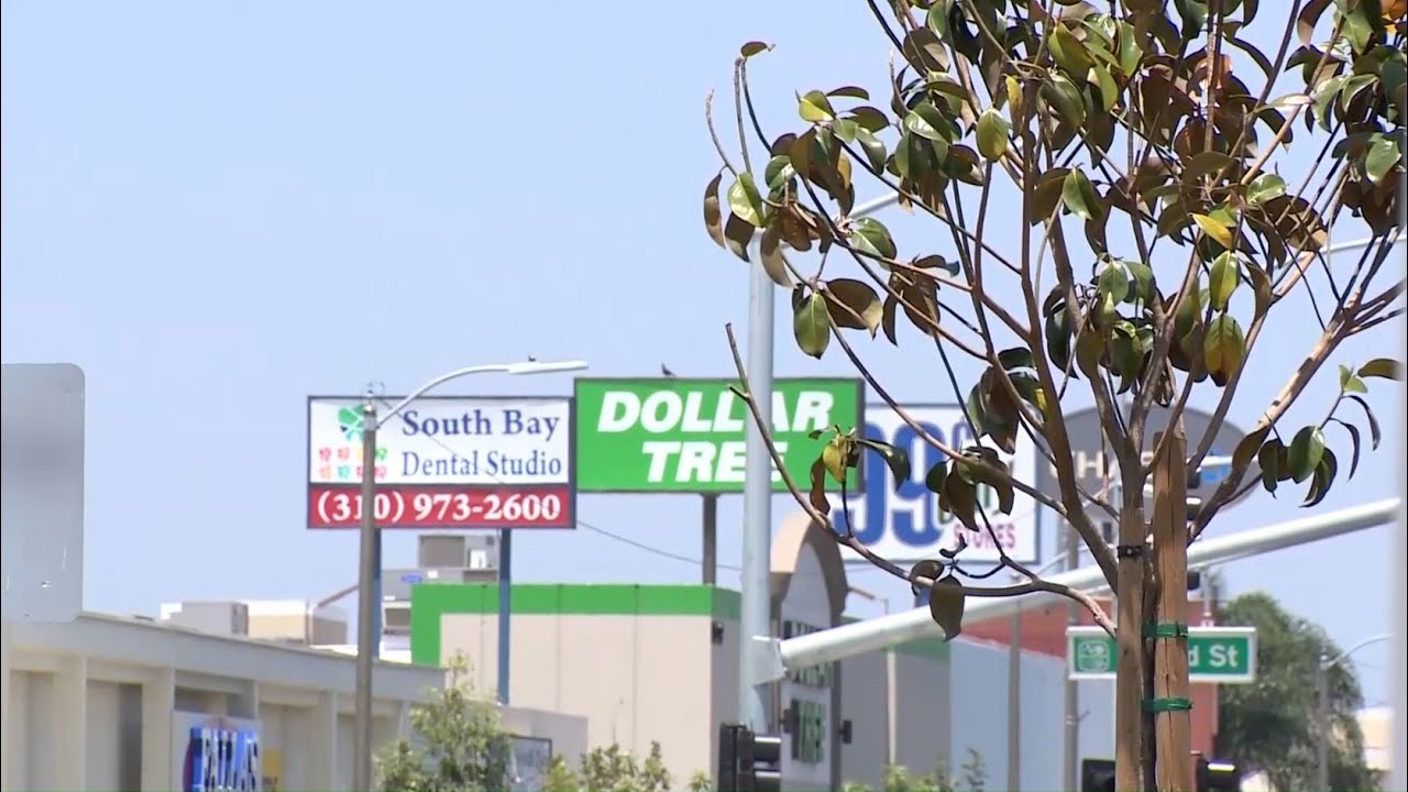 Council Recap (Oct 11, 2022 Edition) - YouTube