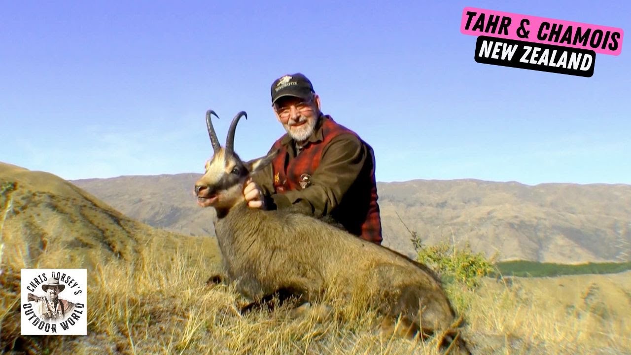 Stunning Hunt for Tahr & Chamois in New Zealand - YouTube