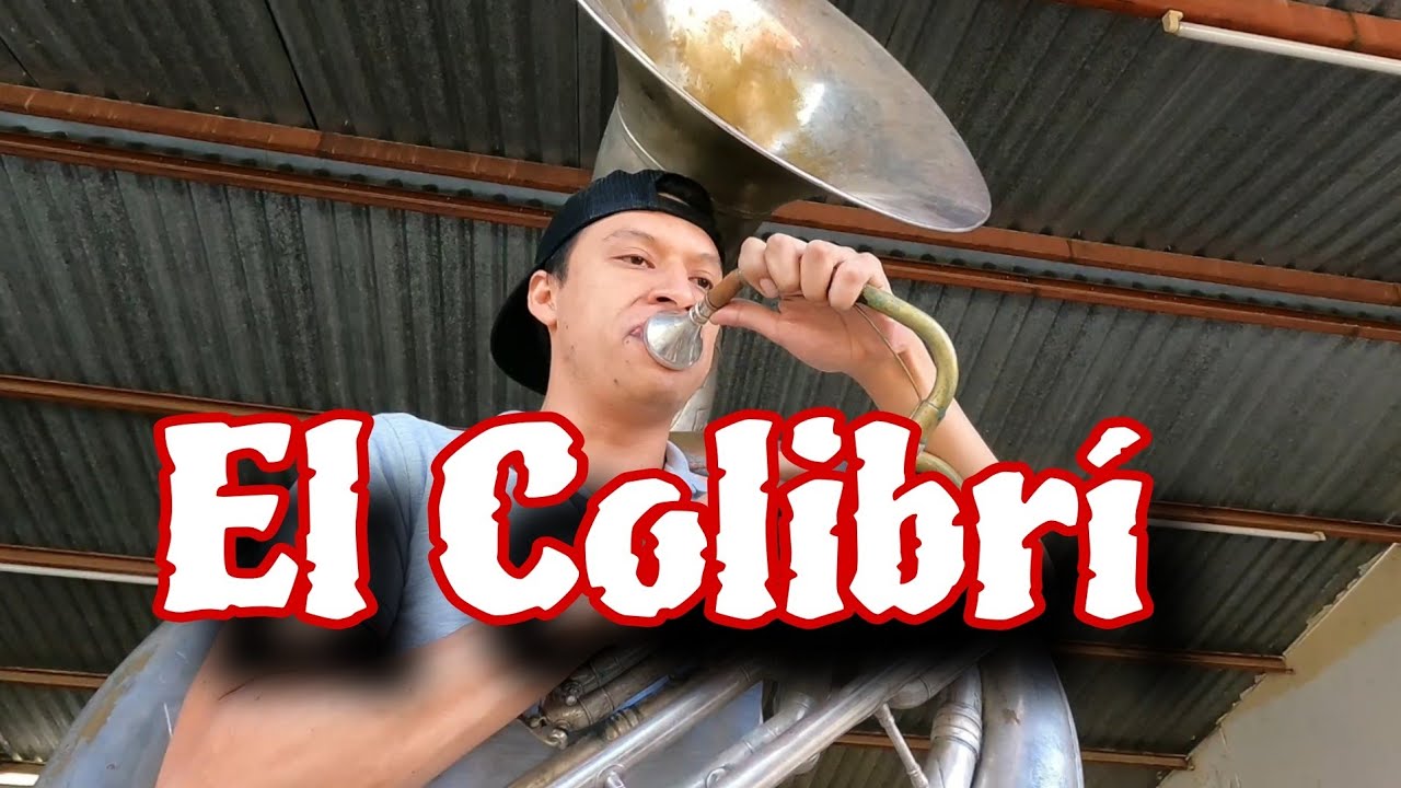 EL COLIBRI CON TUBA | Diego Medina - YouTube