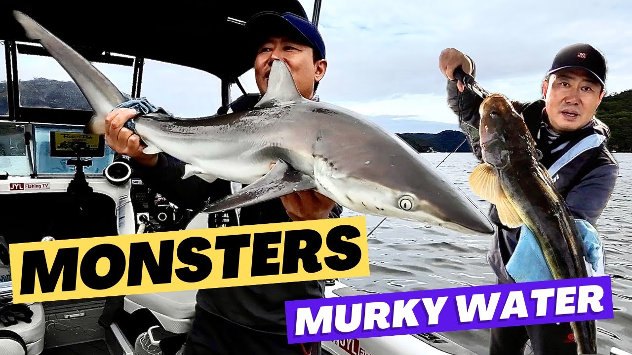 Monsters of murky water! - YouTube