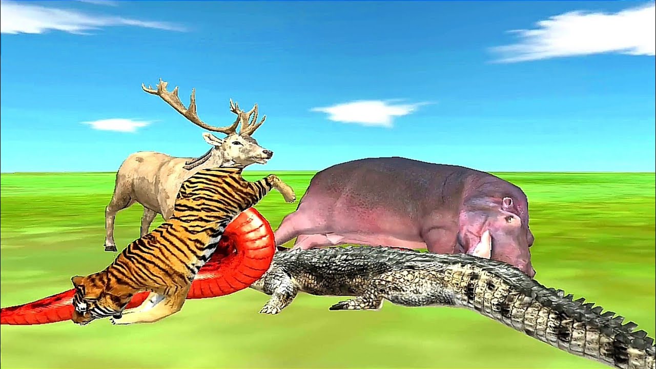 Fighting Deer Hippos Tigers VS Titanoboa Snakes and Crocodiles || Animal Battle Simulator - YouTube